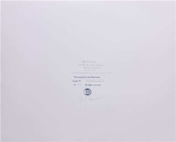 Joel Bernstein | Joni Mitchell Skating on Lake Mendota (1976) | MutualArt