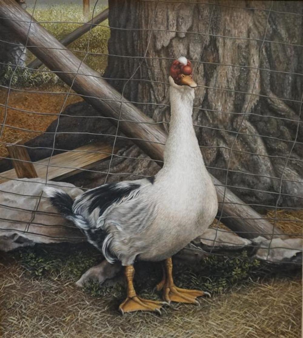 Rebecca Davenport | Portrait of a Goose | MutualArt