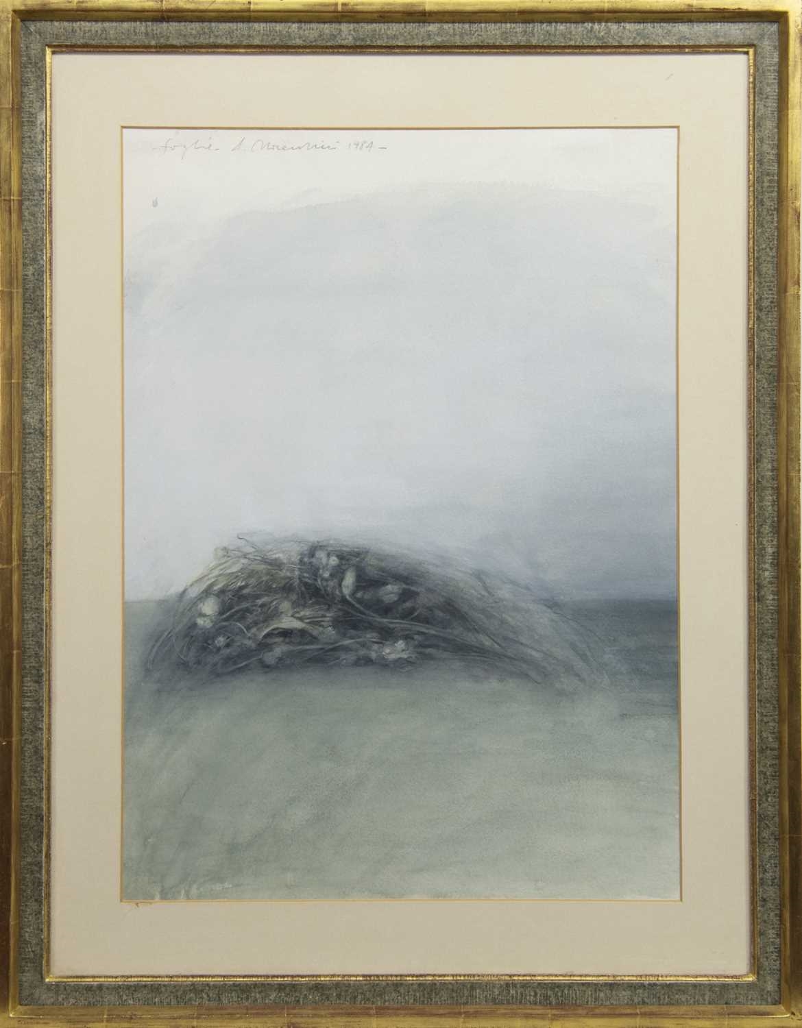 Alessandro Nocentini | FUNGHI (1984) | MutualArt