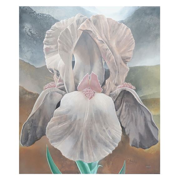 Tim Hamill | 1 Artworks at Auction | MutualArt