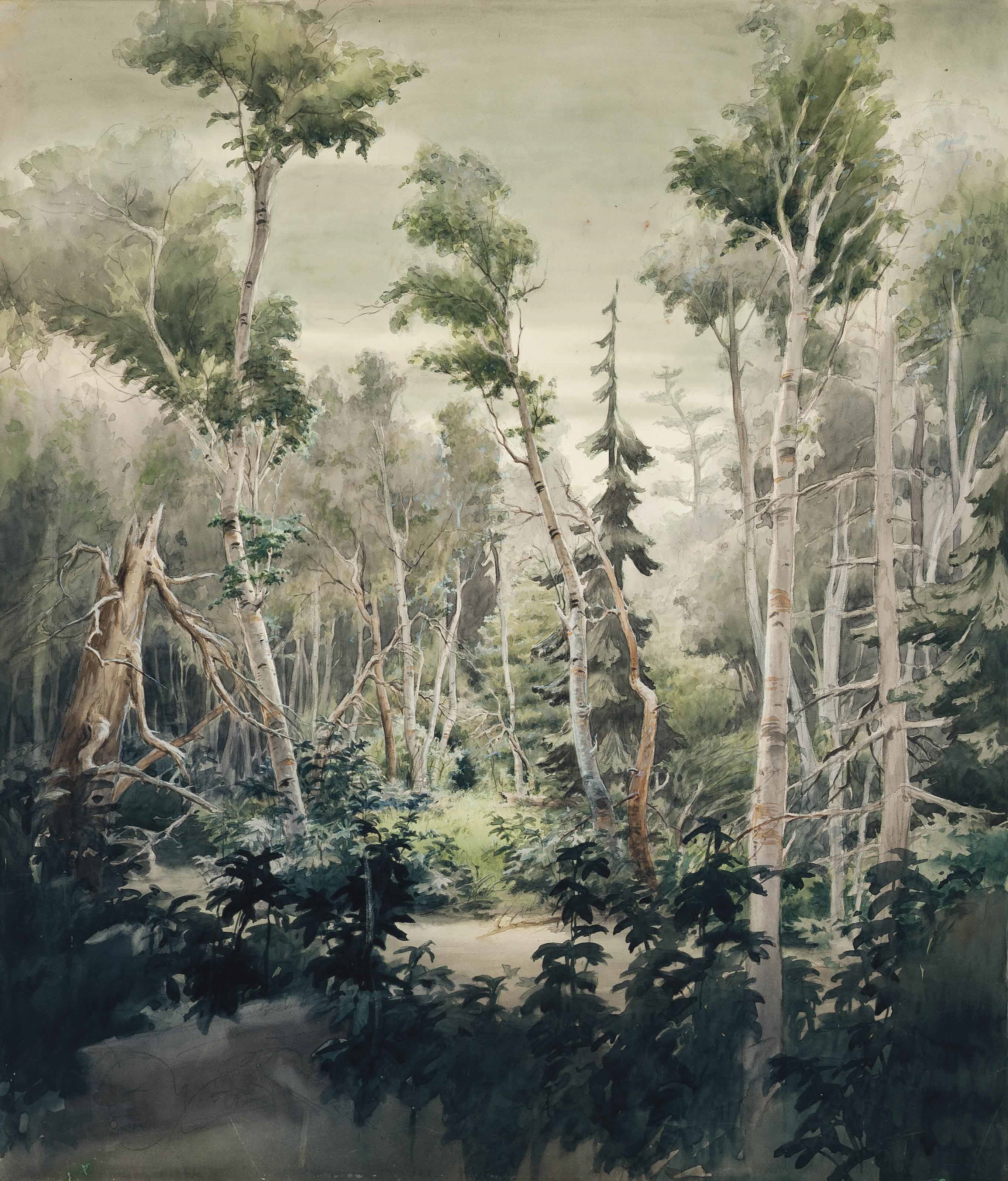 Disney Forest Backgrounds