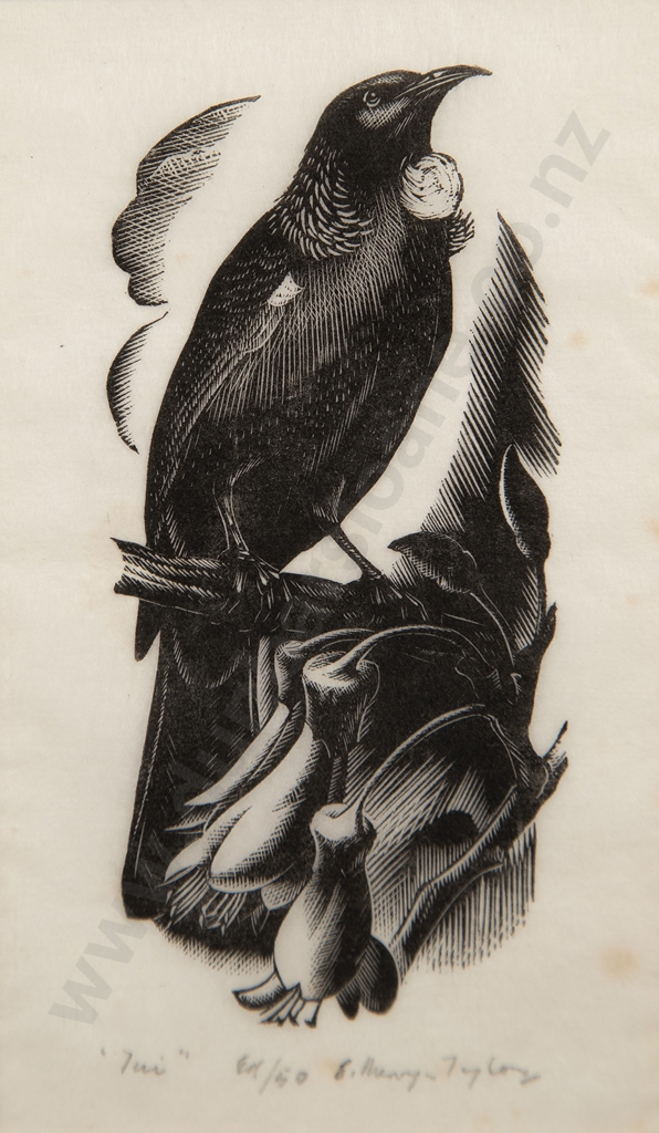 E. Mervyn Taylor | Tui | MutualArt