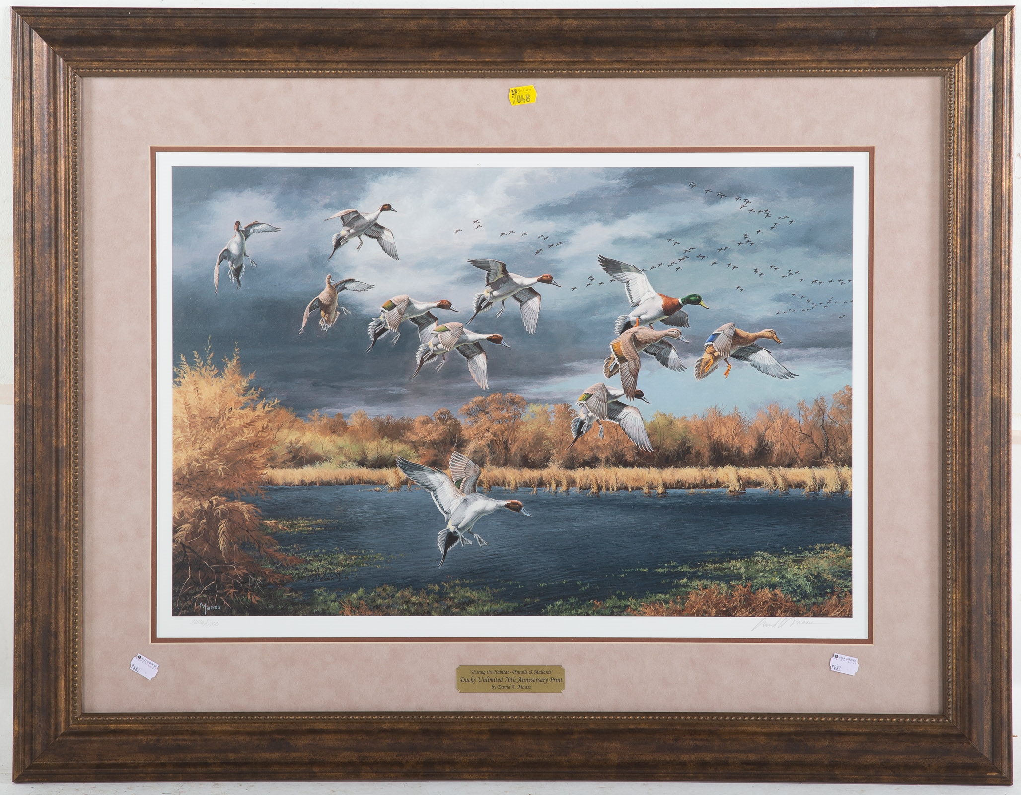 David Maass | Sharing the Habitat, | MutualArt