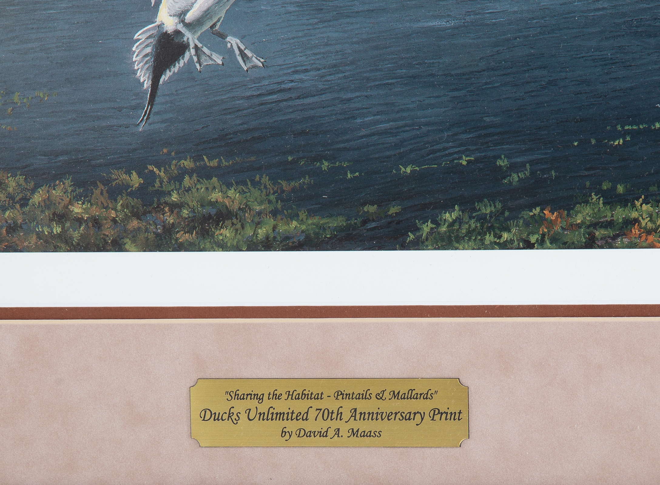 David Maass | Sharing the Habitat, | MutualArt