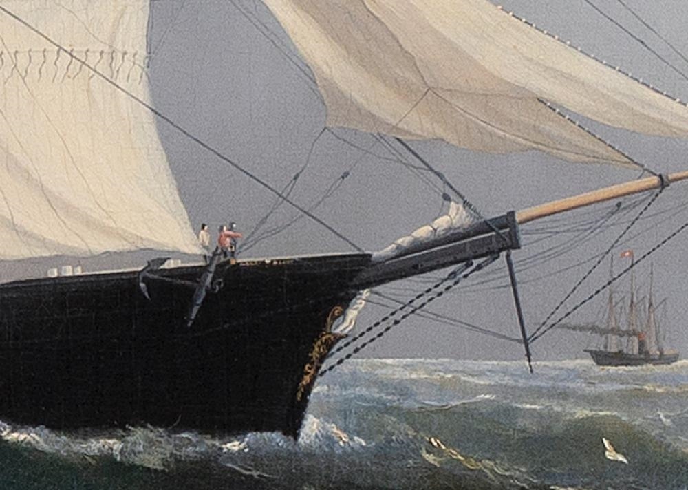 William Bradford | Starboard view portrait of the ship Harry Bluff ...