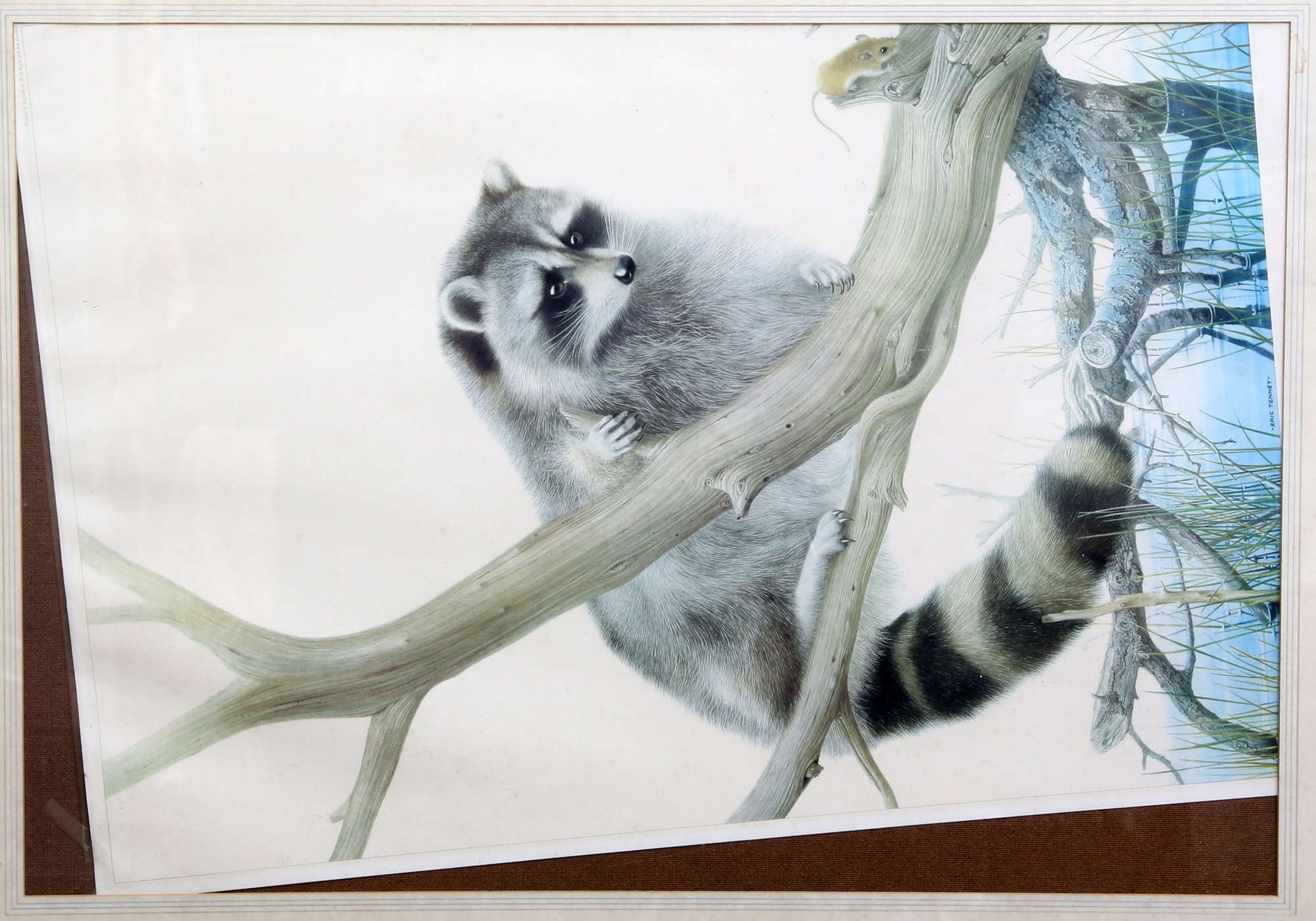Eric Tenney | Nature scene with racoon | MutualArt
