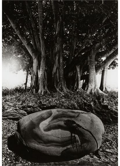 Jerry Uelsmann | Untitled (Volcanic Rock and Banyan Trees) (Circa 1970s ...