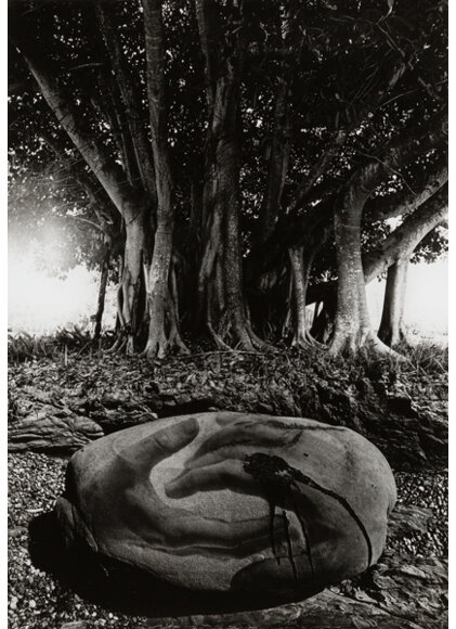 Jerry Uelsmann | Untitled (Volcanic Rock and Banyan Trees) (Circa 1970s ...