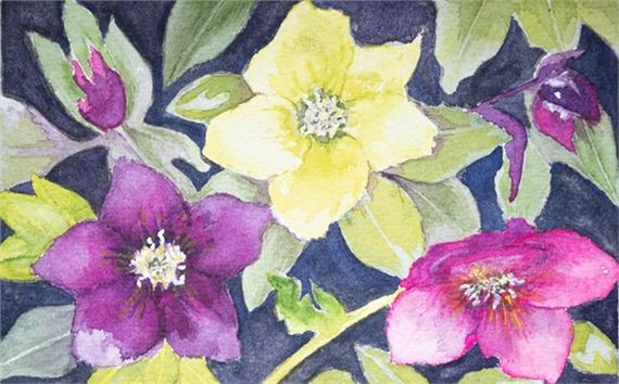 Sue Sumner | 4 Artworks | MutualArt