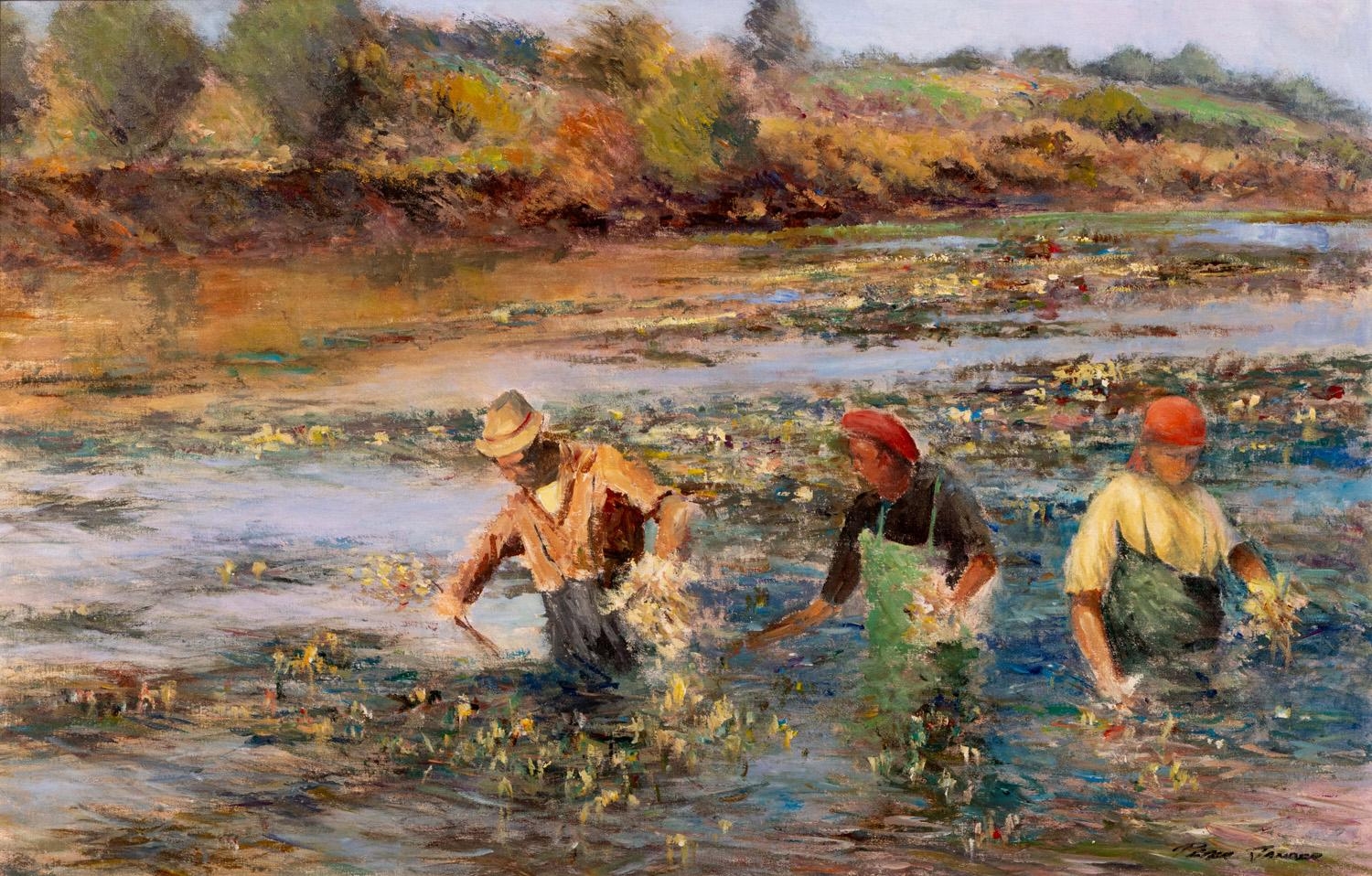 Peter Jander | Waterblommetjie pickers | MutualArt