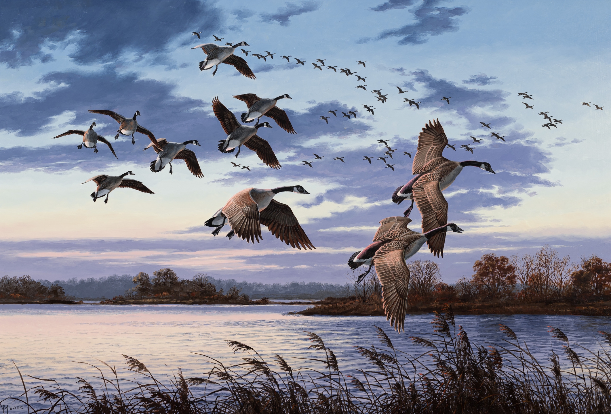 David Maass | Dusk on the Chesapeake – Canada Geese | MutualArt