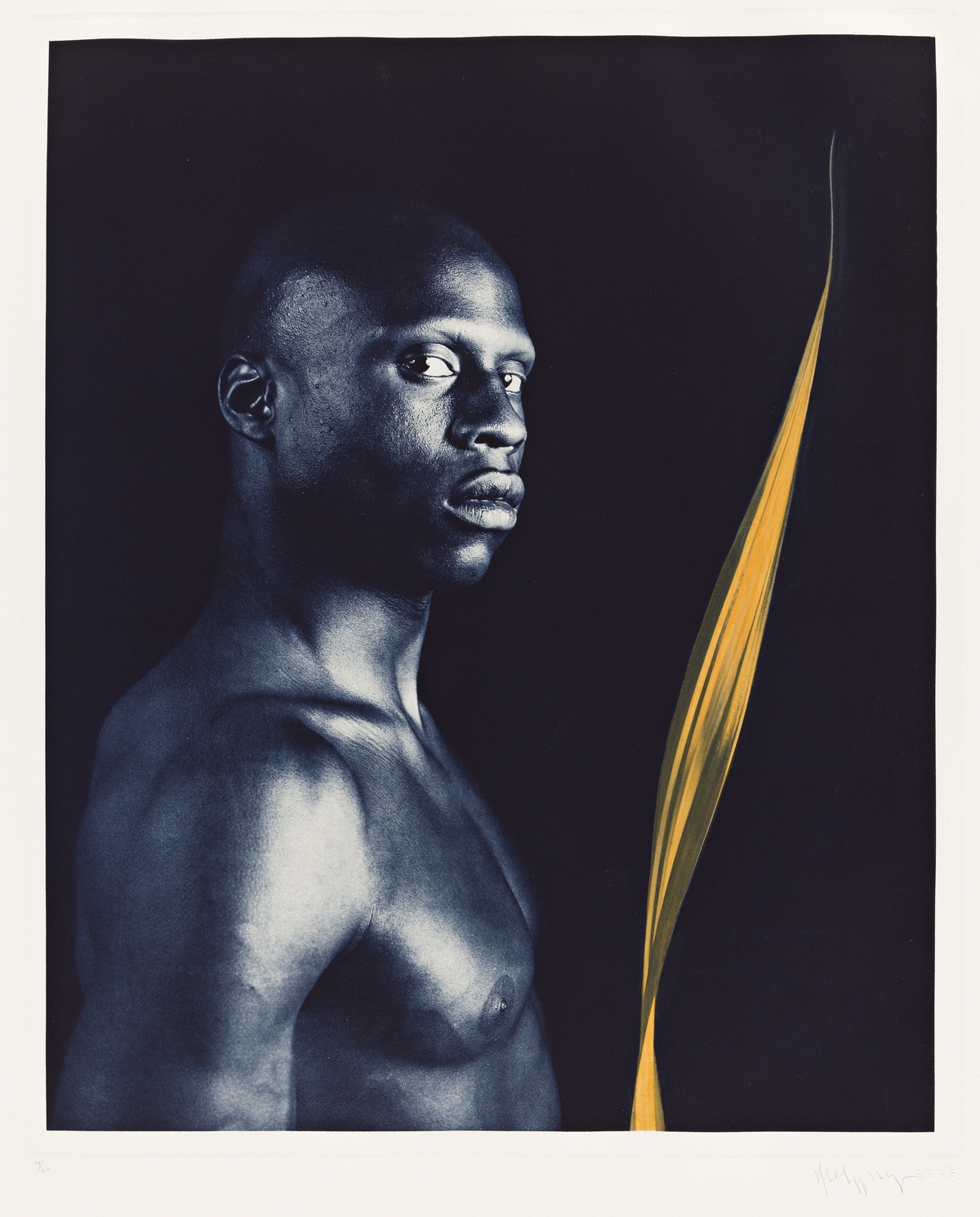 Robert Mapplethorpe | Ken Moody. (1985) | MutualArt