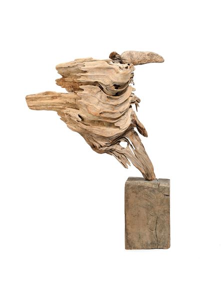 Sid Burnard | Vulture (2008) | MutualArt