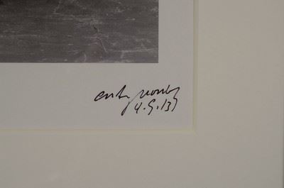 Craig Morey | nudes | MutualArt