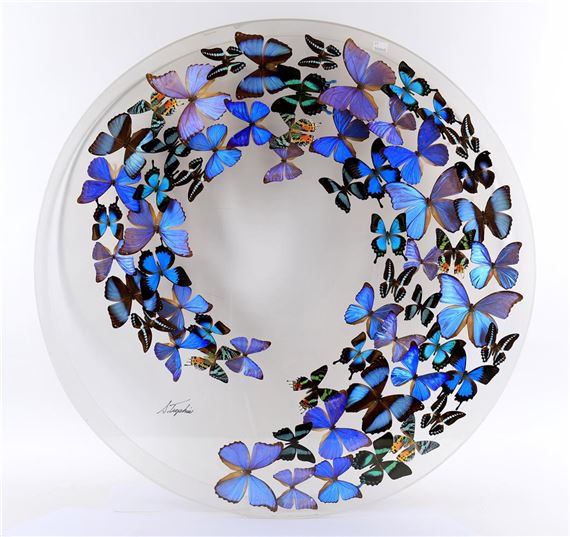 Sam Trophia | 'Butterfly Art' | MutualArt