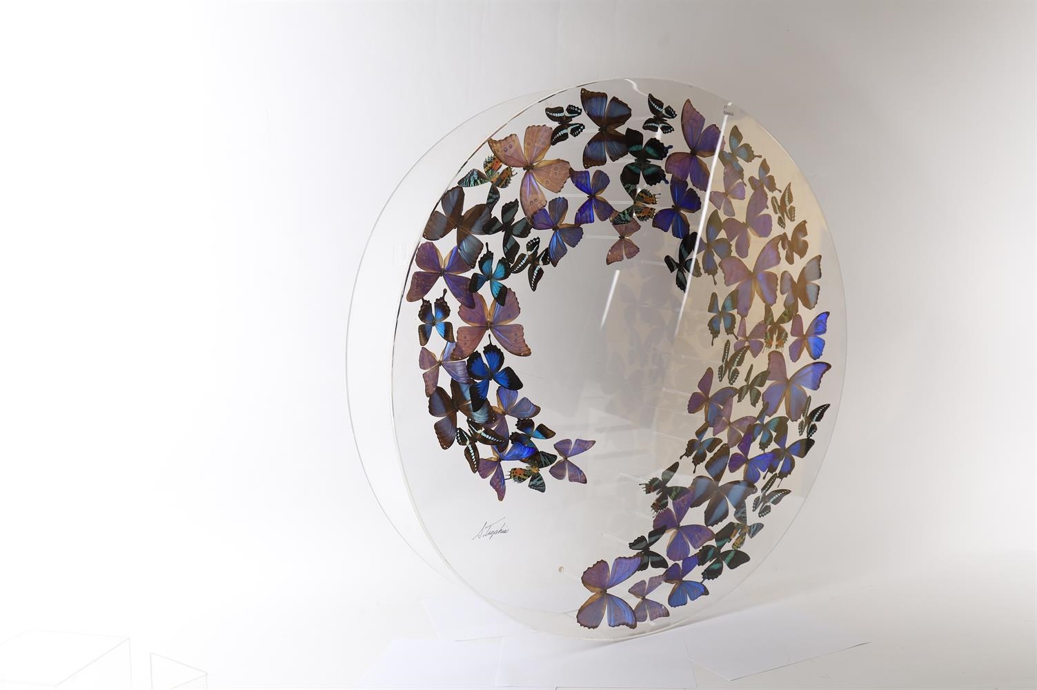 Sam Trophia | 'Butterfly Art' | MutualArt