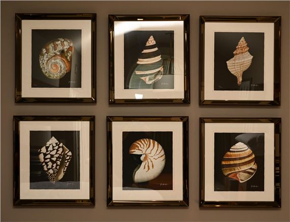 John Matthew Moore | Shells | MutualArt