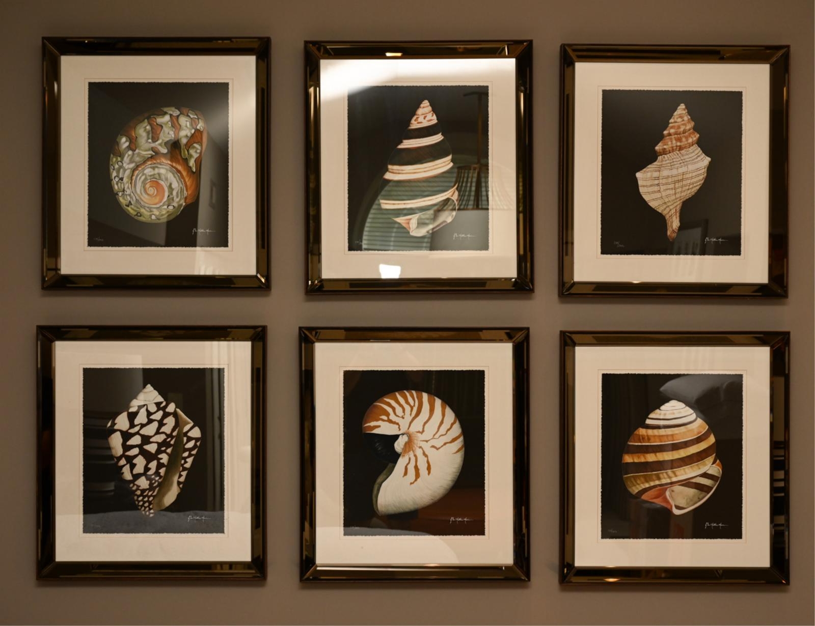 John Matthew Moore | Shells | MutualArt