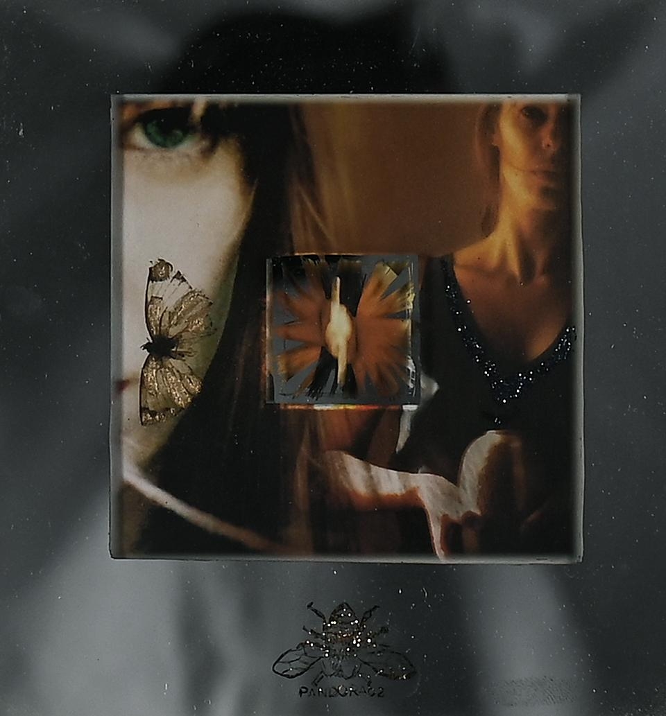 Chris Diedericks | Pandora (2002) | MutualArt