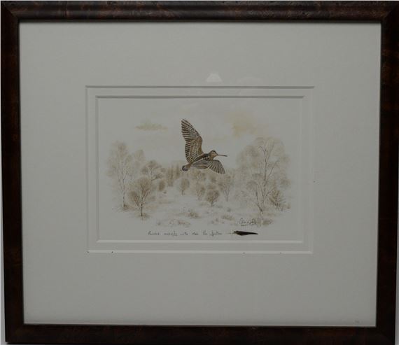 Colin Woolf | Woodcock in flight | MutualArt
