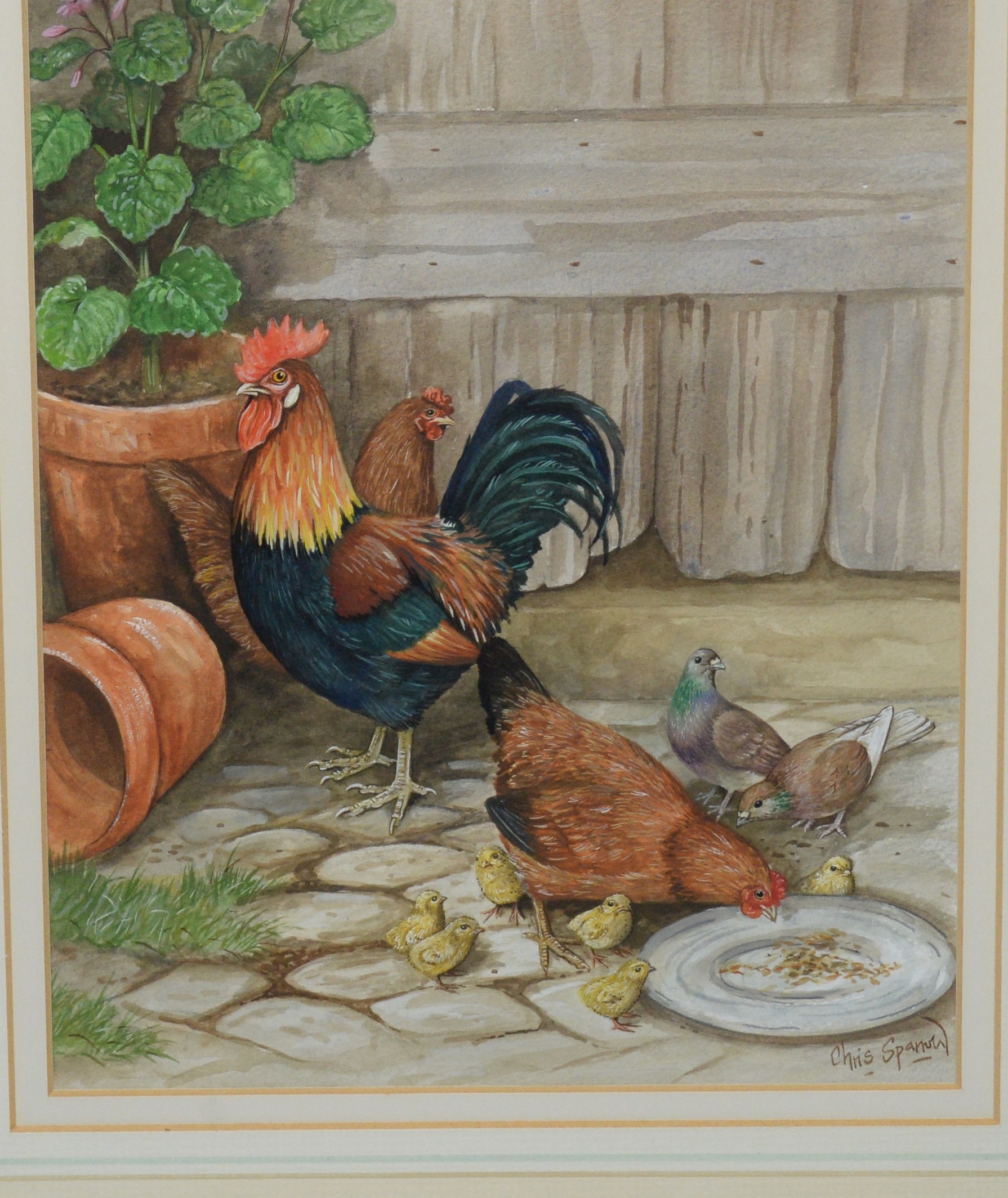 Christopher Sparrow | Chris Sparrow - Poultry and pigeons in a yard ...