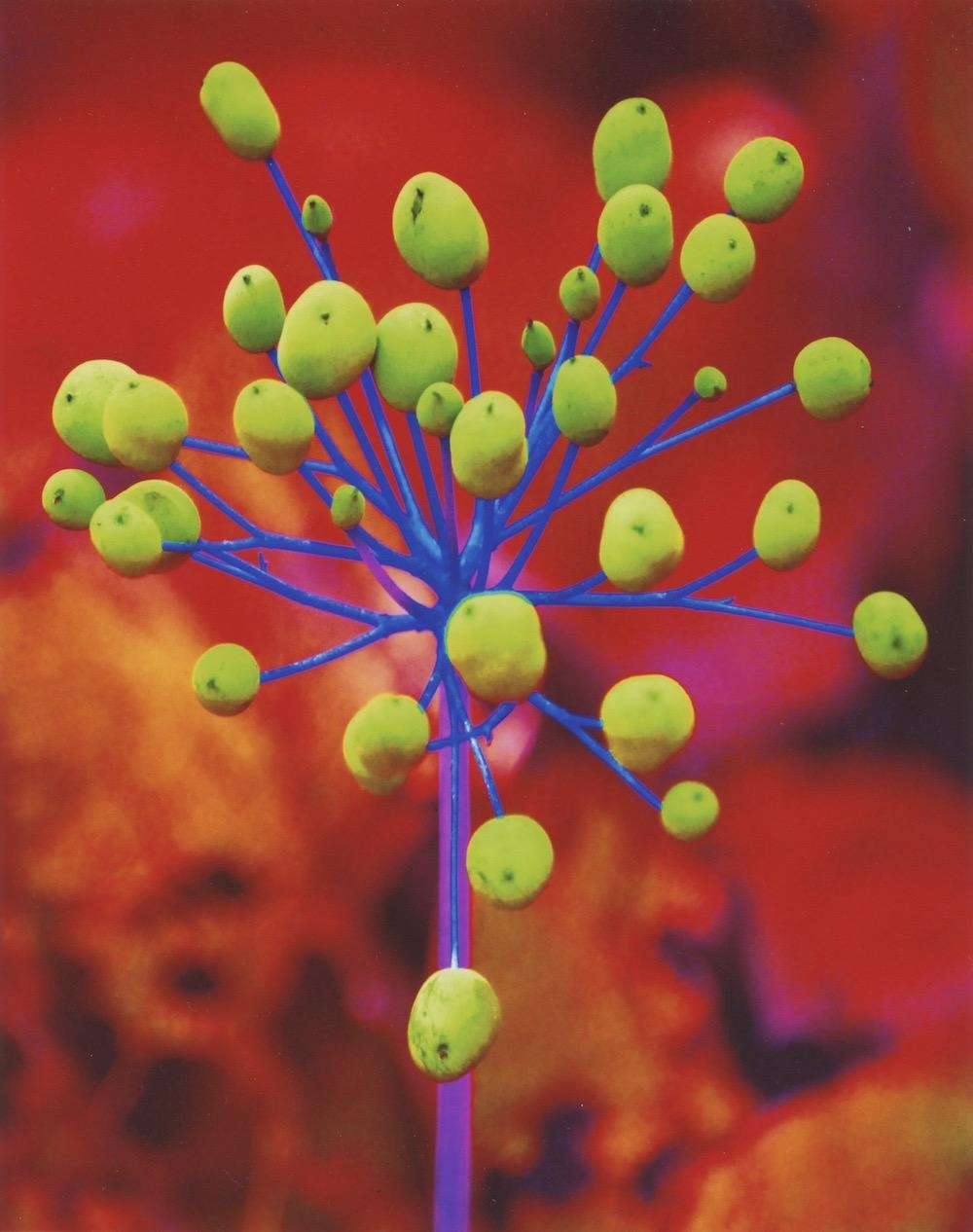 Tim Ray Fisher | Gay Male Nude | MutualArt