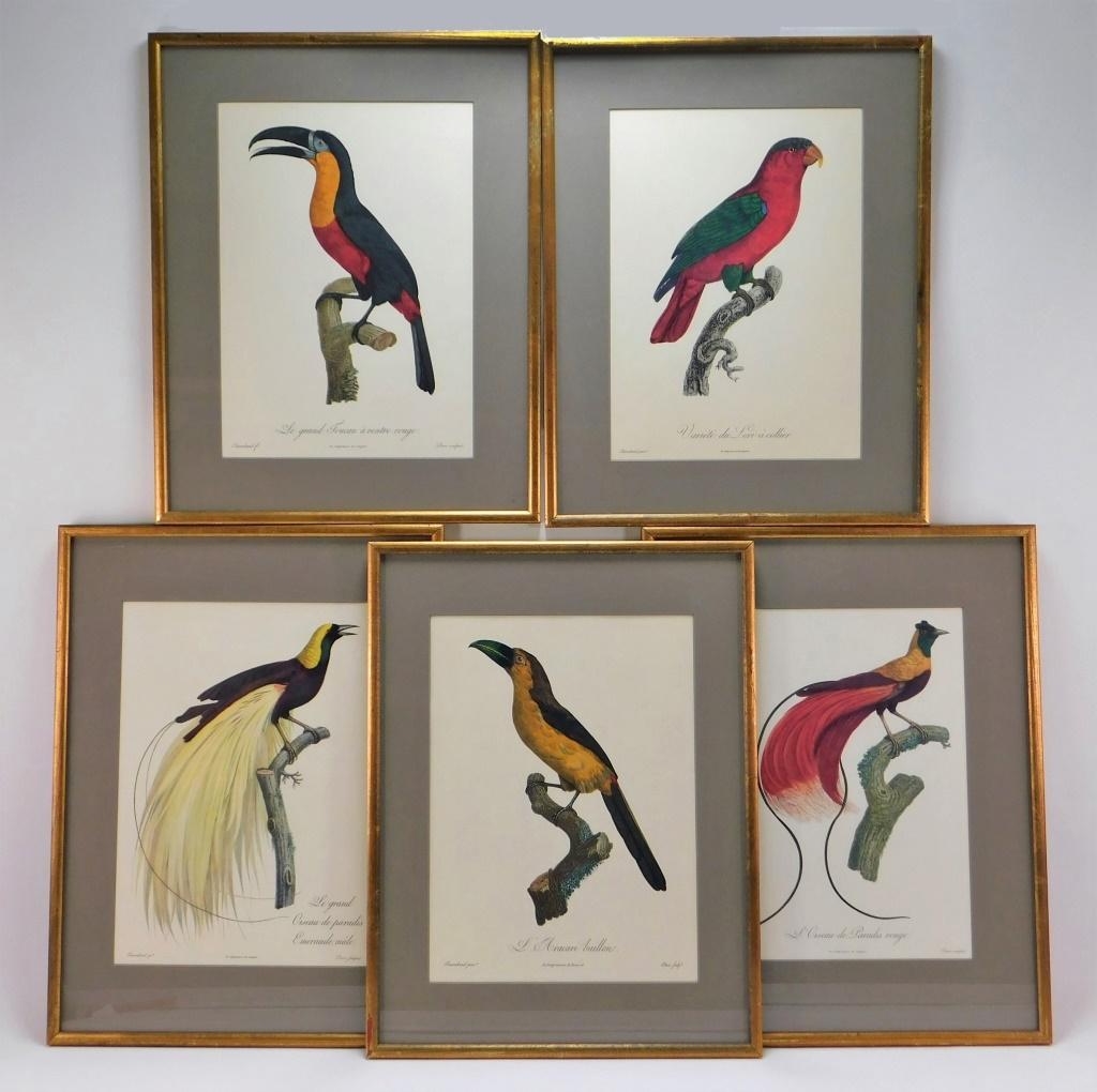 Jacques Barraband | Exotic Bird | MutualArt