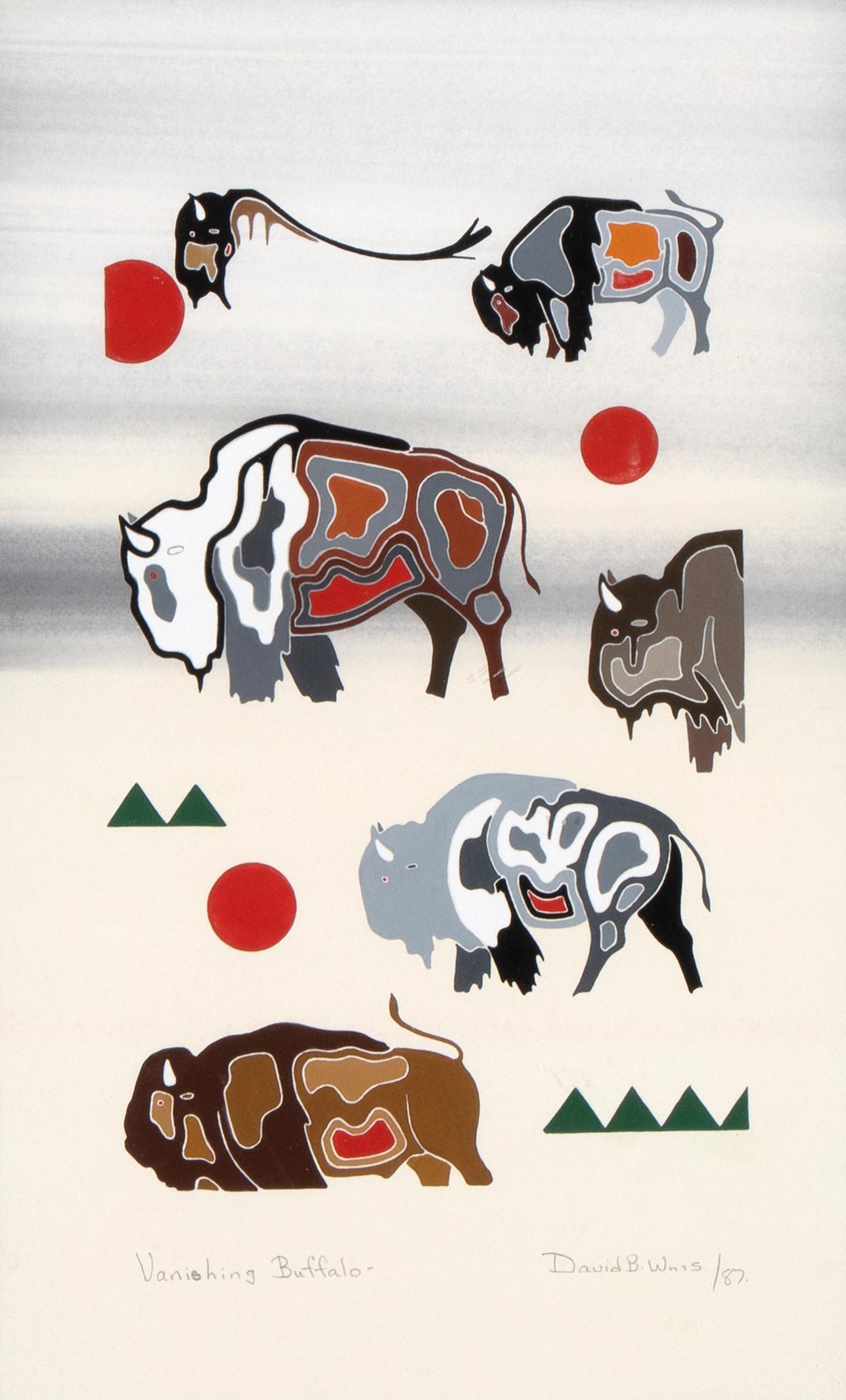 David B. Williams | Vanishing Buffalo (1989) | MutualArt