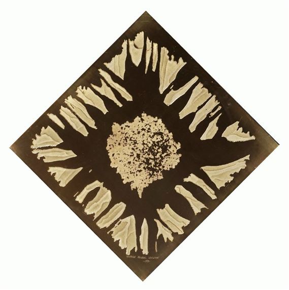 Stephen Michael Levinson | Biography