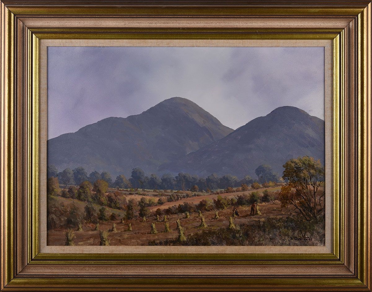 David Overend | THE MOURNES | MutualArt