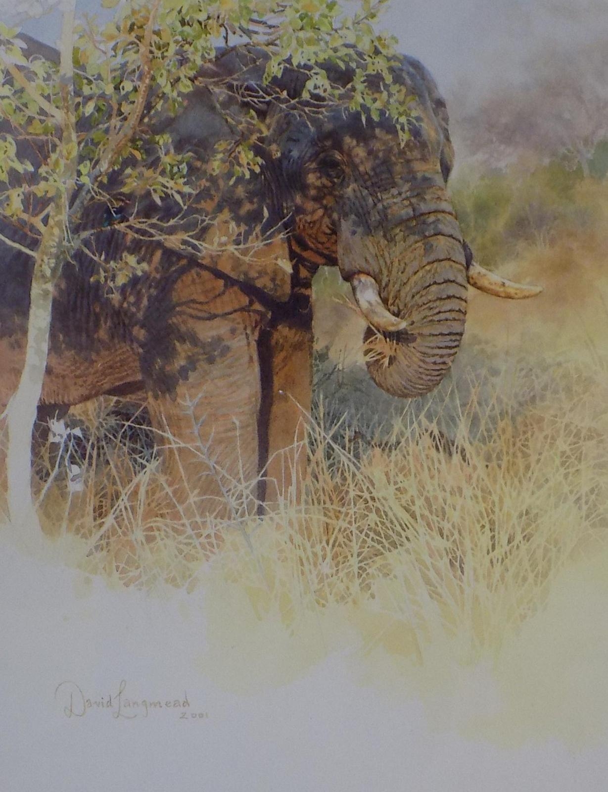 David Langmead | Elephant (2001) | MutualArt