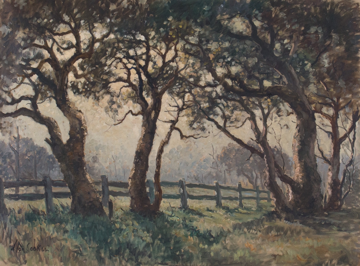 Allon Cook | LANDSCAPE | MutualArt