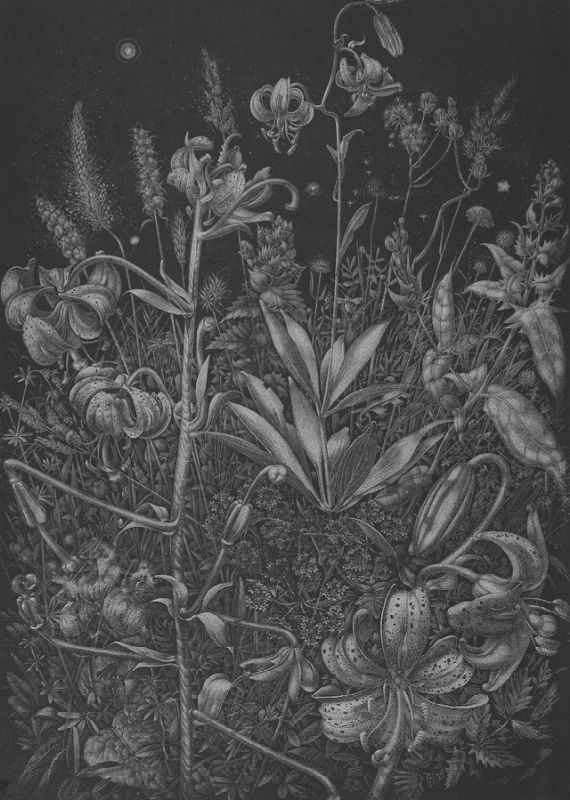 Wilhelm Heise | Wilder Türkenbund (Circa 1925) | MutualArt