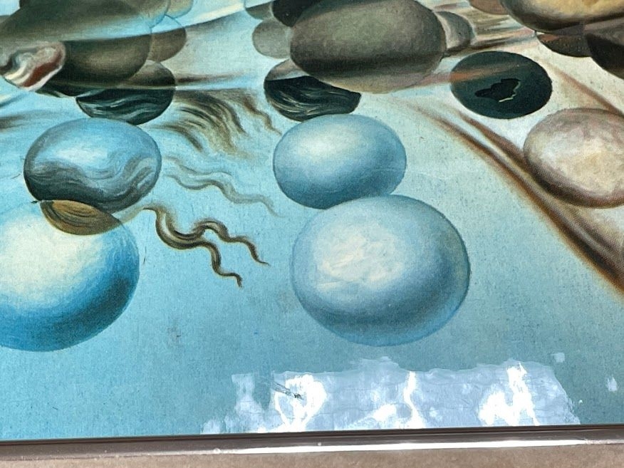 Salvador Dalí | Galatea of the Spheres (1952) | MutualArt