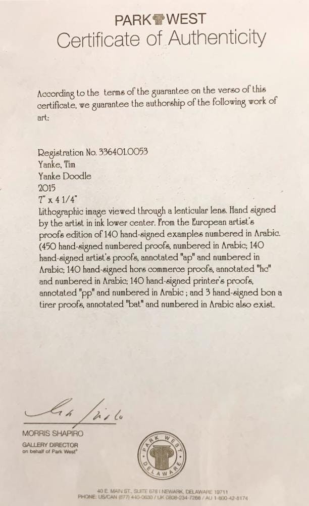 Tim Yanke | Yanke Doodle (2015) | MutualArt