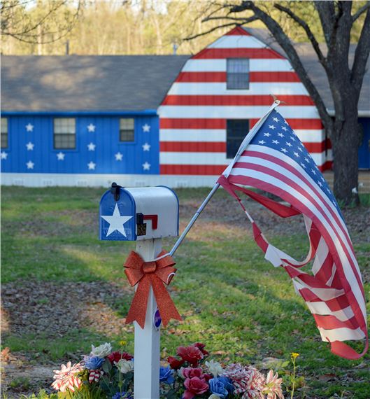 Robert Carley | Artist Overview | MutualArt