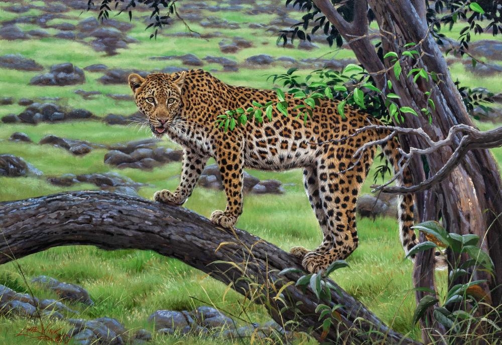 Lute Vink | Leopard | MutualArt
