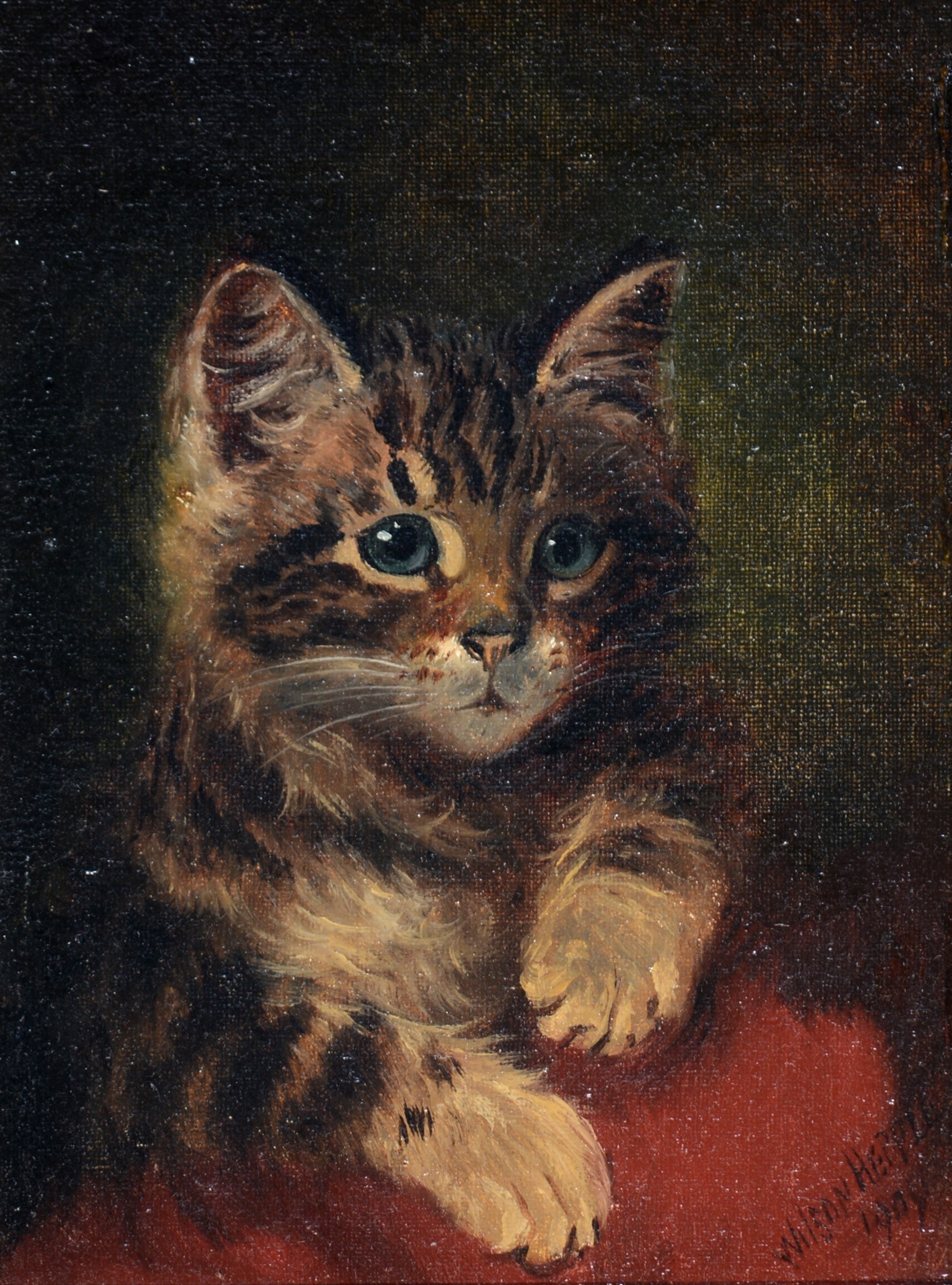 John Wilson Hepple | Portrait of a tabby kitten (1908) | MutualArt
