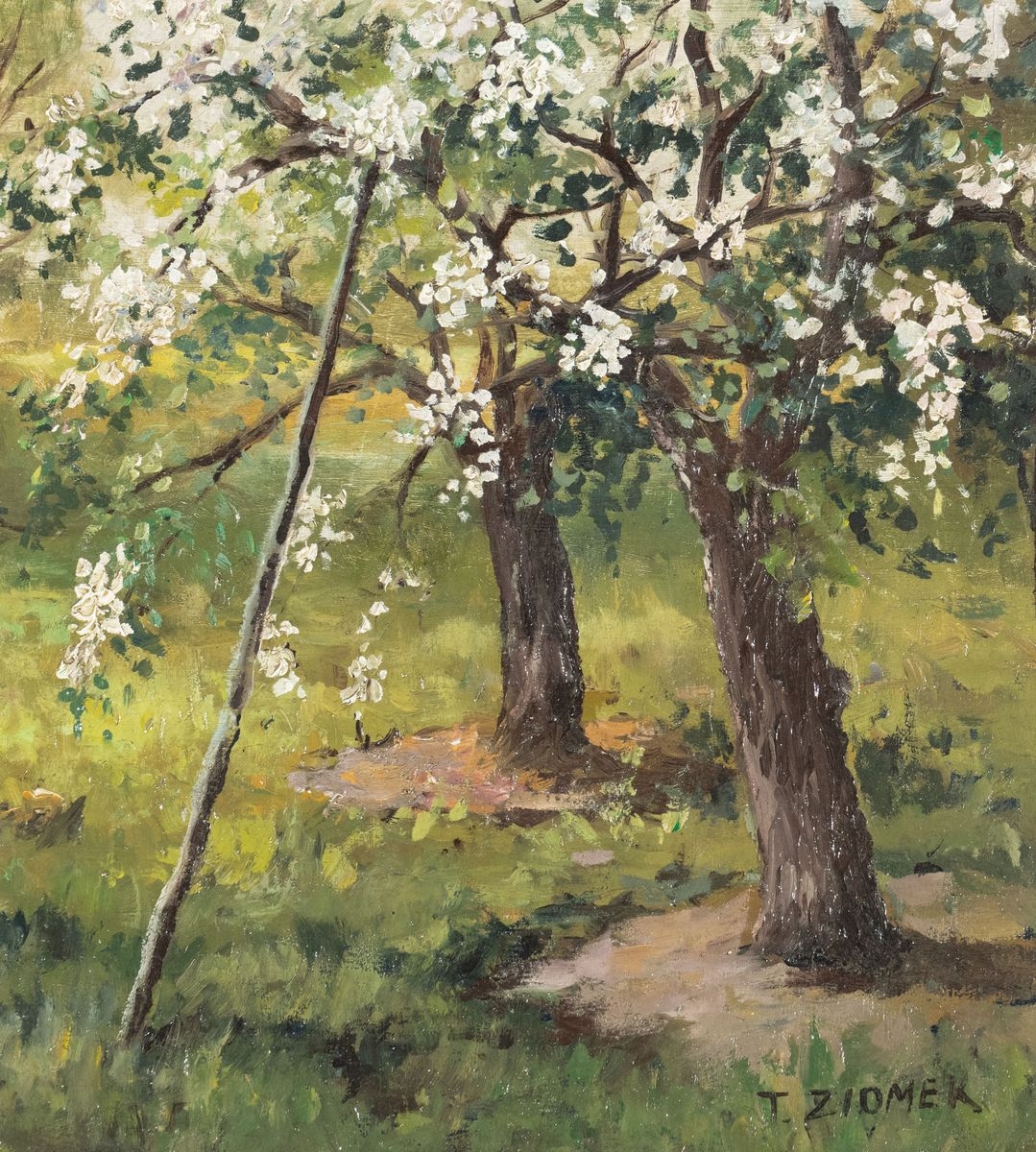 Teodor Ziomek | KWITNĄCE JABŁONIE | MutualArt