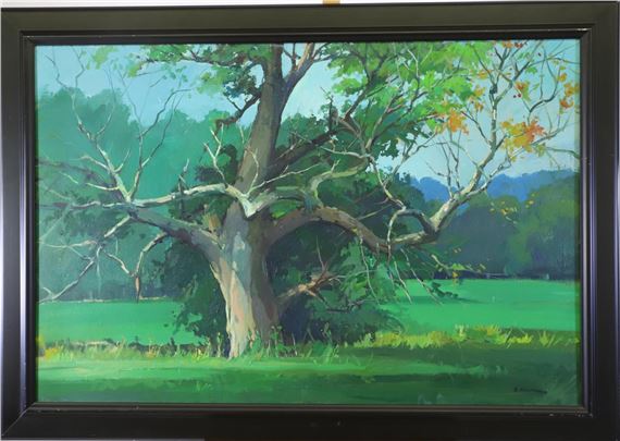 Ben Marcune | Central tree with grove of trees in the background ...