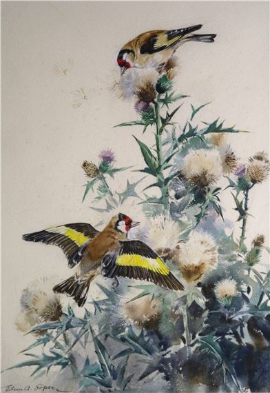 Eileen Alice Soper | Goldfinches and Thistledown | MutualArt