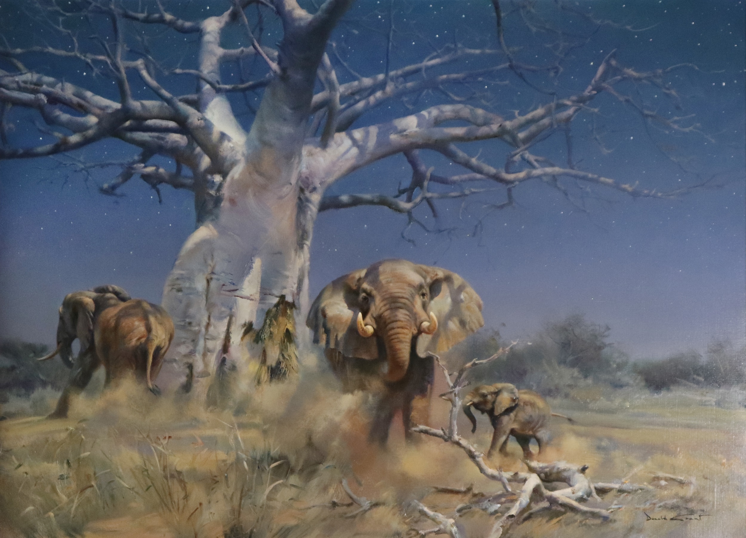 Donald Grant | Starry Night | MutualArt