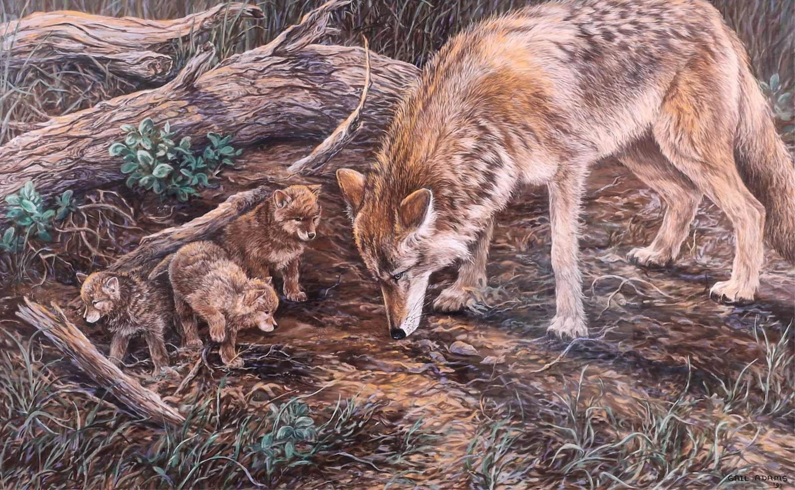 Gail Adams | NATURE'S TENANTS (1997) | MutualArt