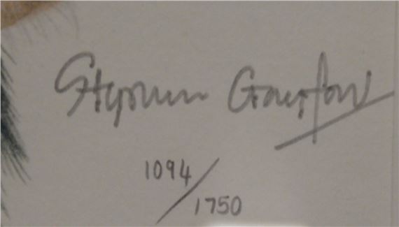 Stephen Gayford | Chimpanzee | MutualArt