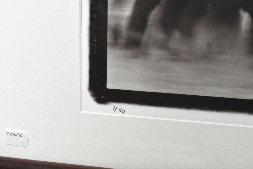 Martyn Colbeck | elephants | MutualArt