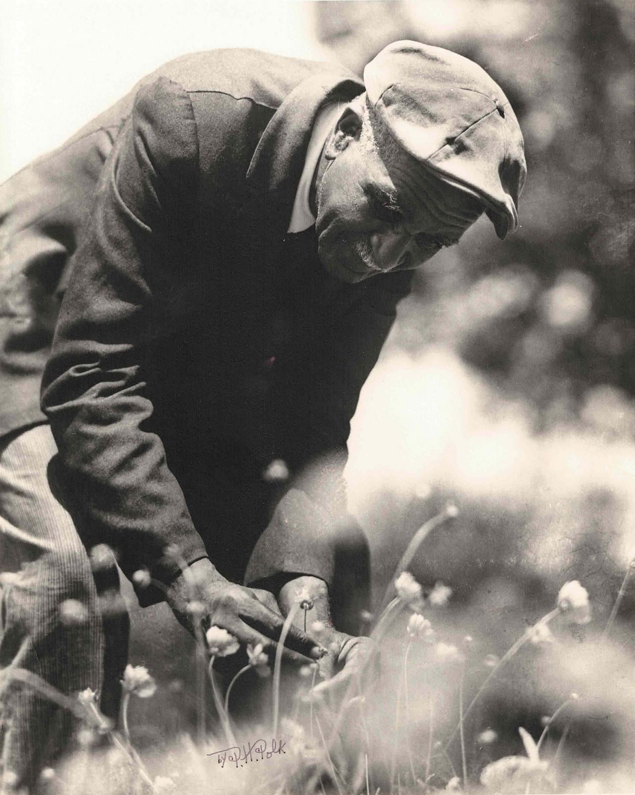 Prentice Hall Polk | George Washington Carver; Man and Ox | MutualArt