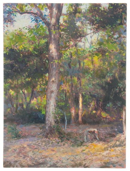 Nathaniel Gibbs | Forest Scene | MutualArt