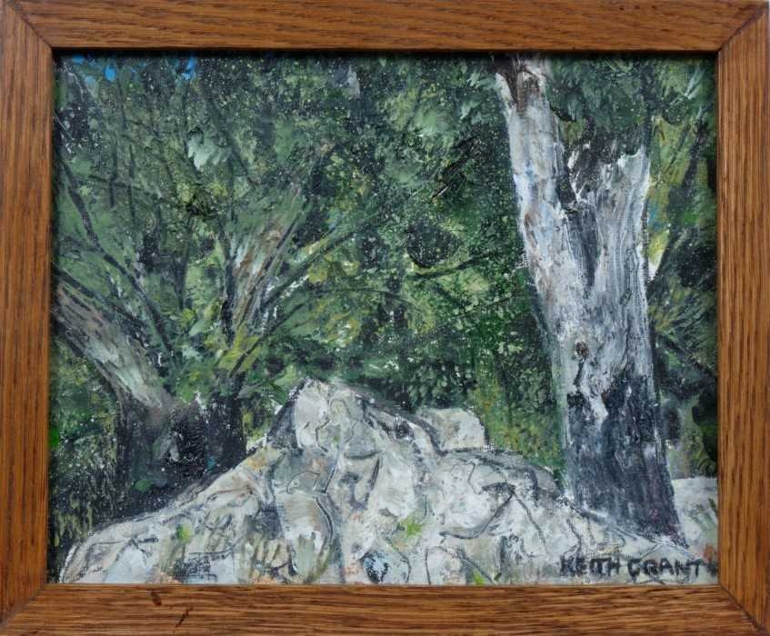 Keith Grant | Entrance to a Dry Grove | MutualArt