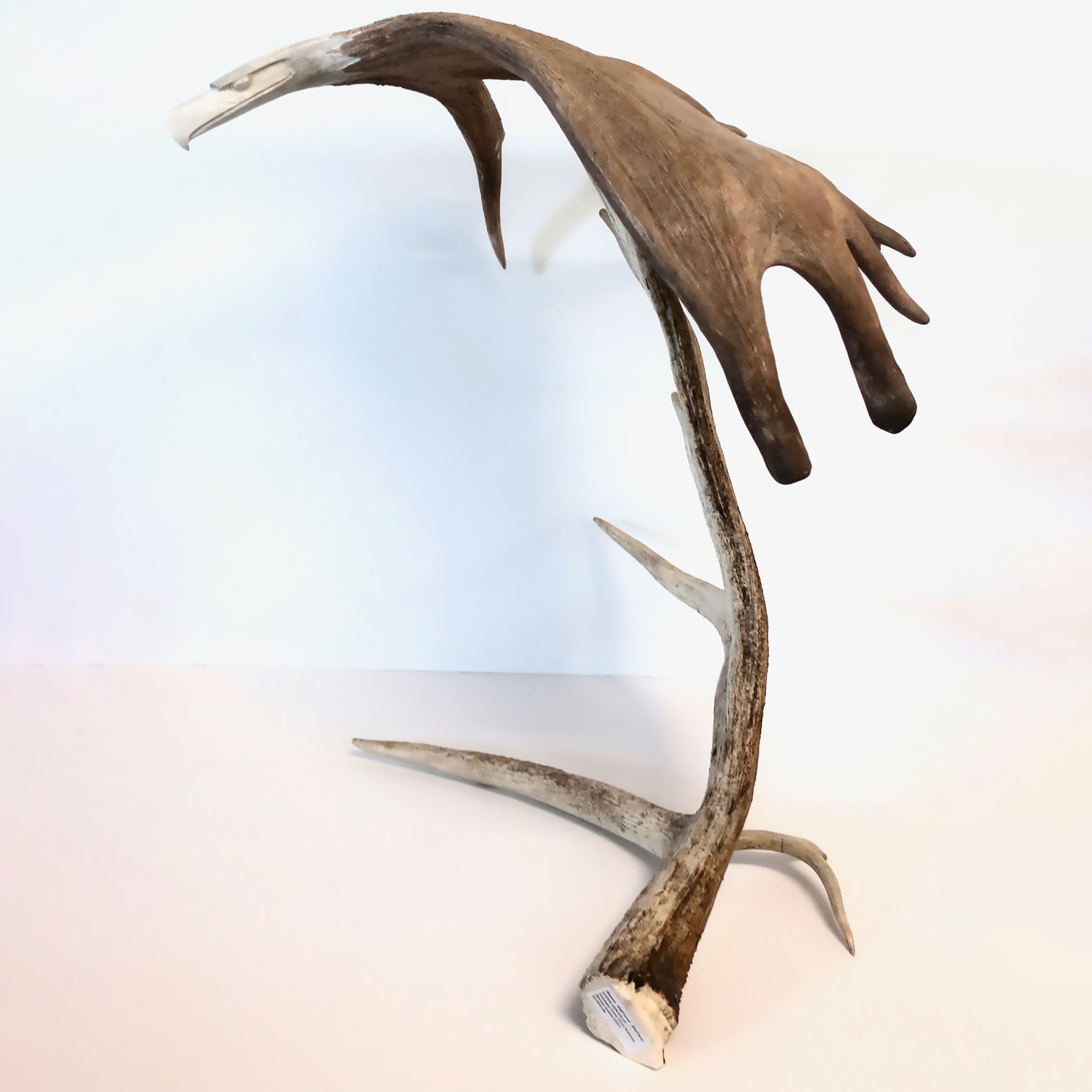 Steve Genaille | EAGLE | MutualArt