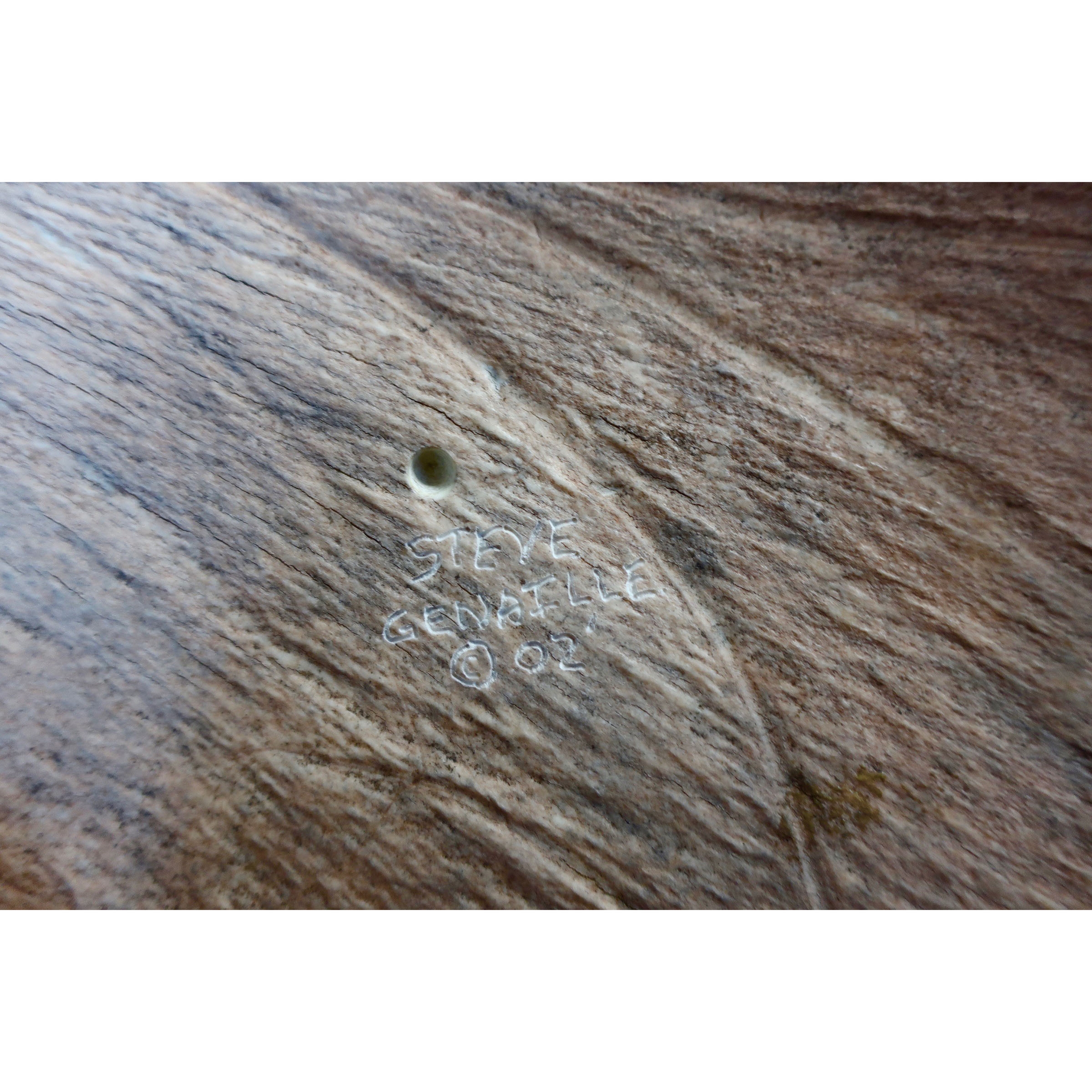 Steve Genaille | EAGLE | MutualArt